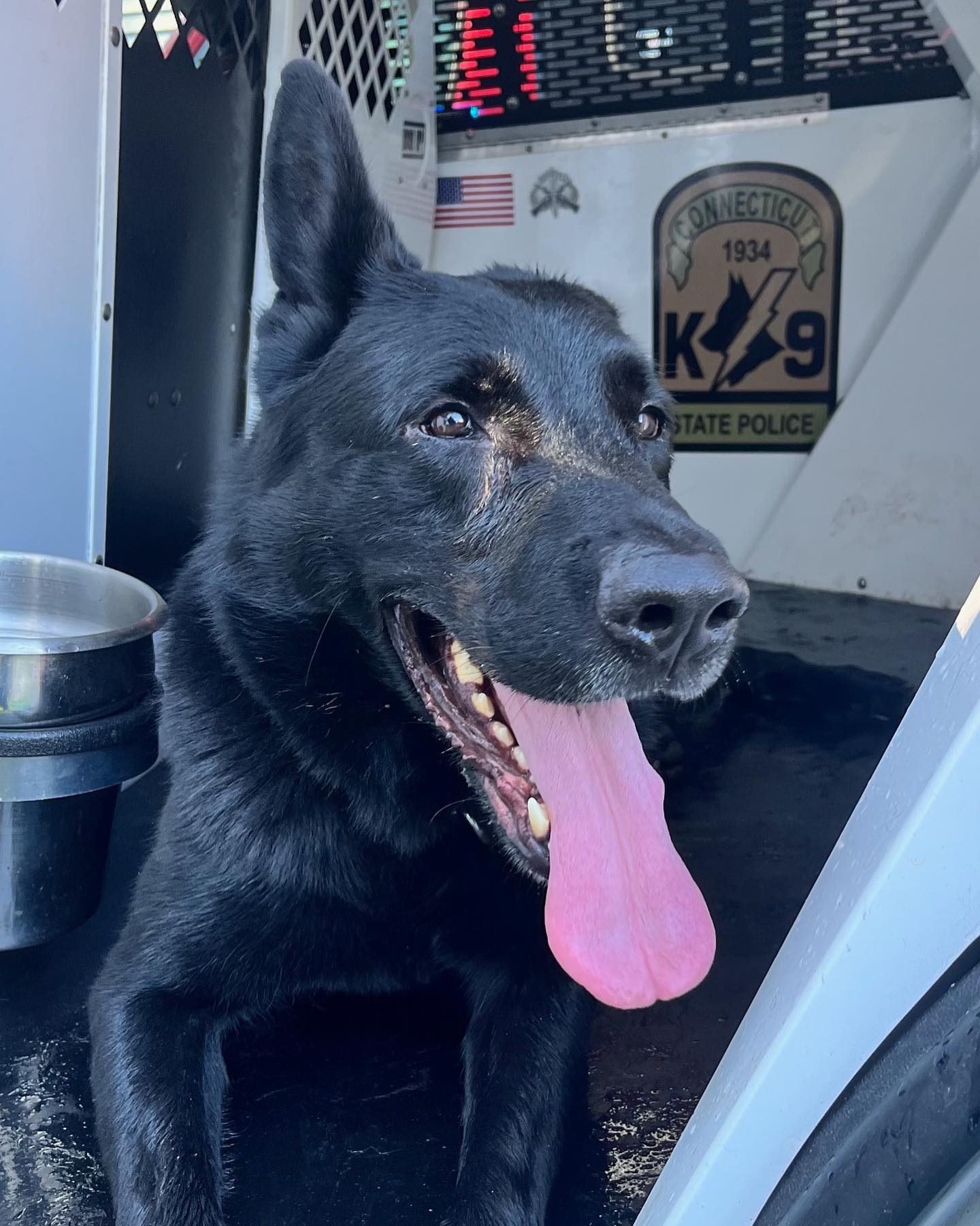 Fugitive Leads Mass State Troopers on Chase, Captured in Connecticut